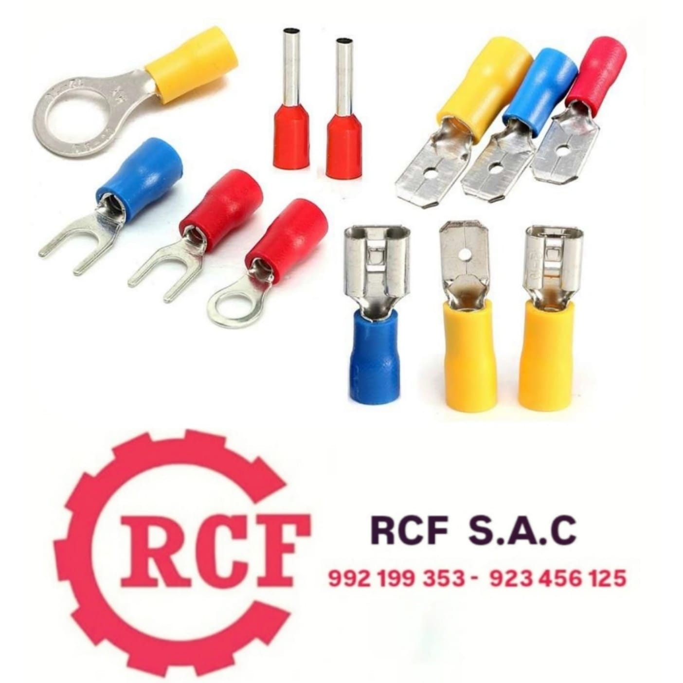 TERMINAL ELÉCTRICO | RCF